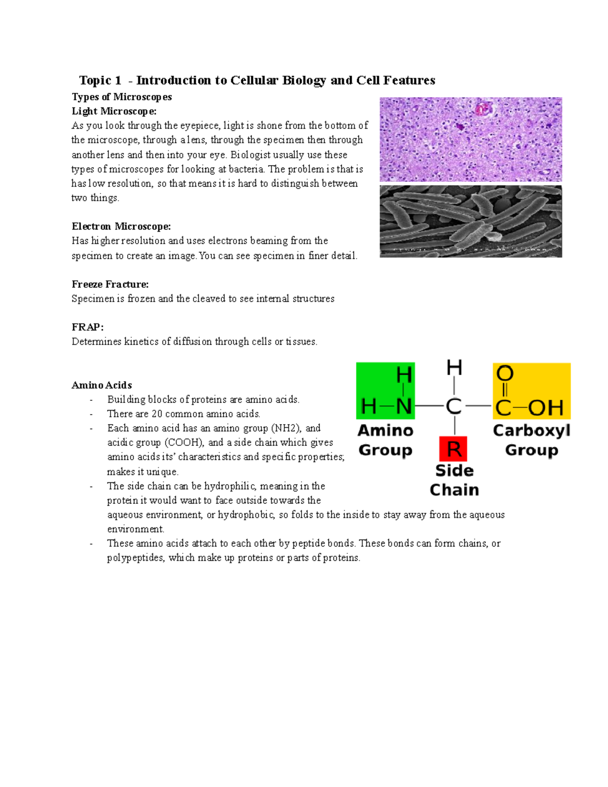 Bio Midterm 1 - good notes for biology for assesment - Topic 1 ...