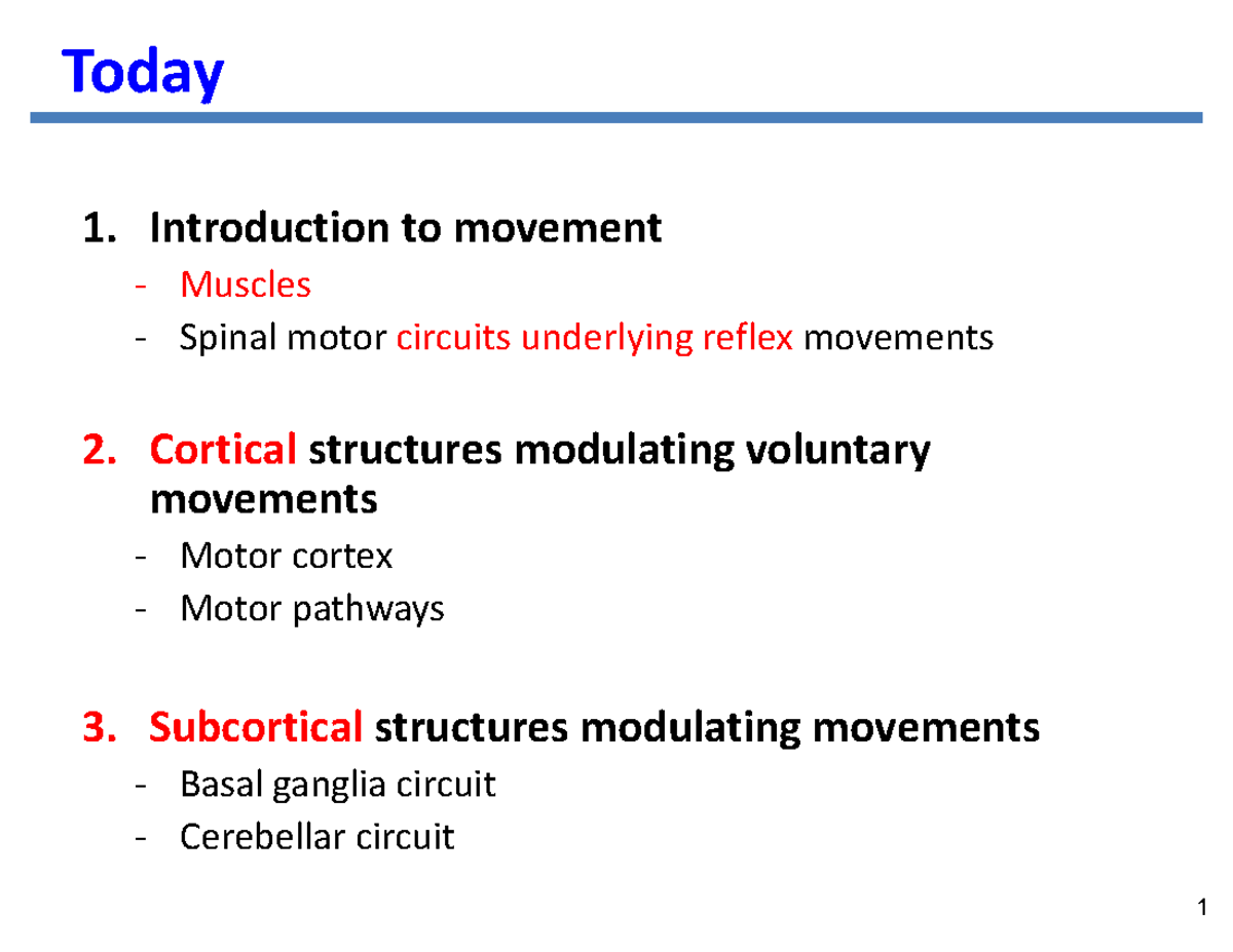Lecture 6 movements - psy290 - Today 1. Introduction to movement - Muscles - Spinal motor ...