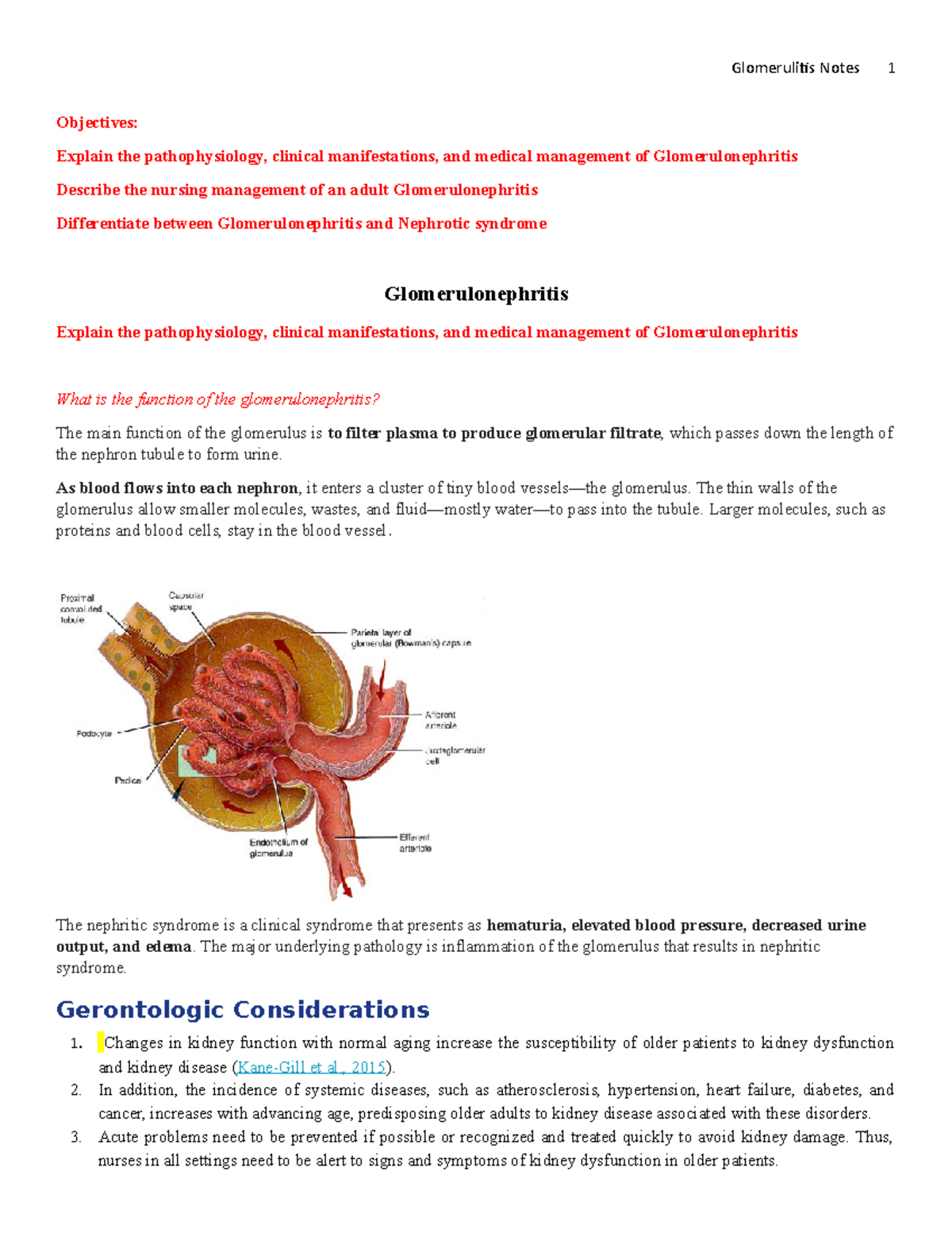 Glomerulitis Notes F21 - Objectives: Explain the pathophysiology ...