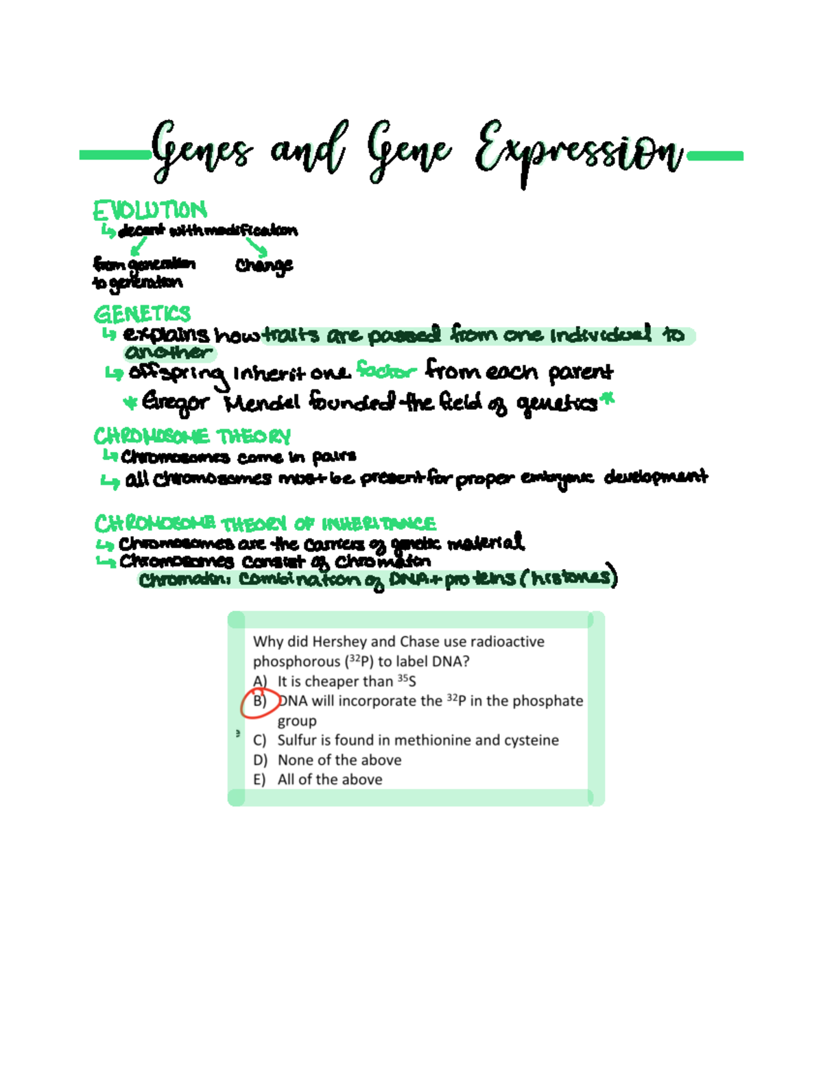 Lecture 3 Genes and Gene Expression - Genes and Gene Expression ...