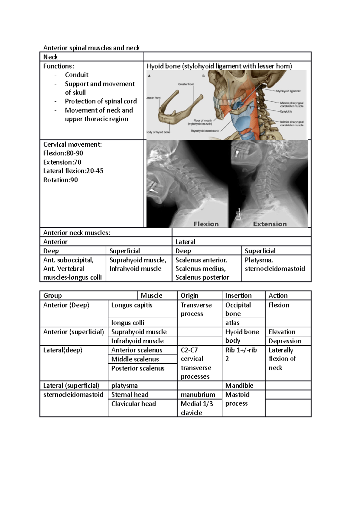 Anatomy Week 7 Neck - Wk7 - Anterior spinal muscles and neck Neck ...