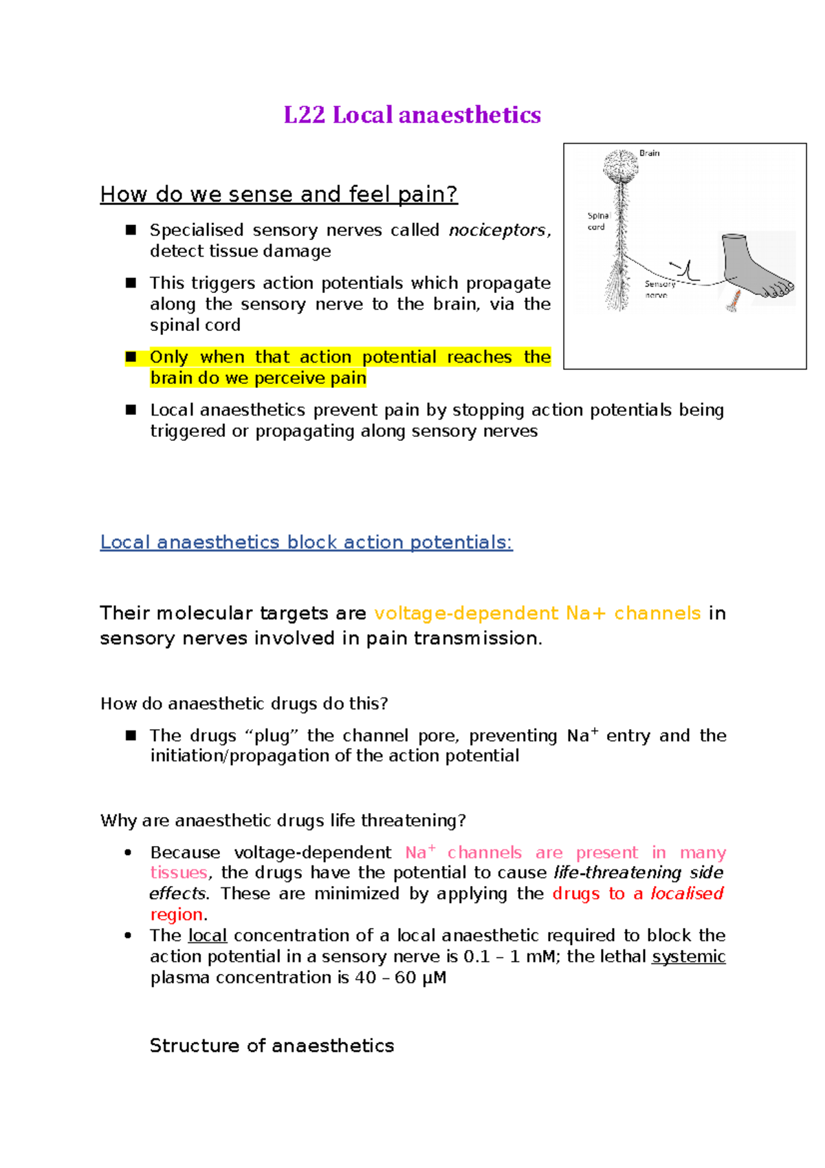 L22 Local anaesthetics - How do anaesthetic drugs do this? The drugs ...