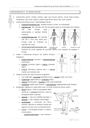 Anatomie en beeldvorming van borst, buik en bekken ZSO 3 Het ...