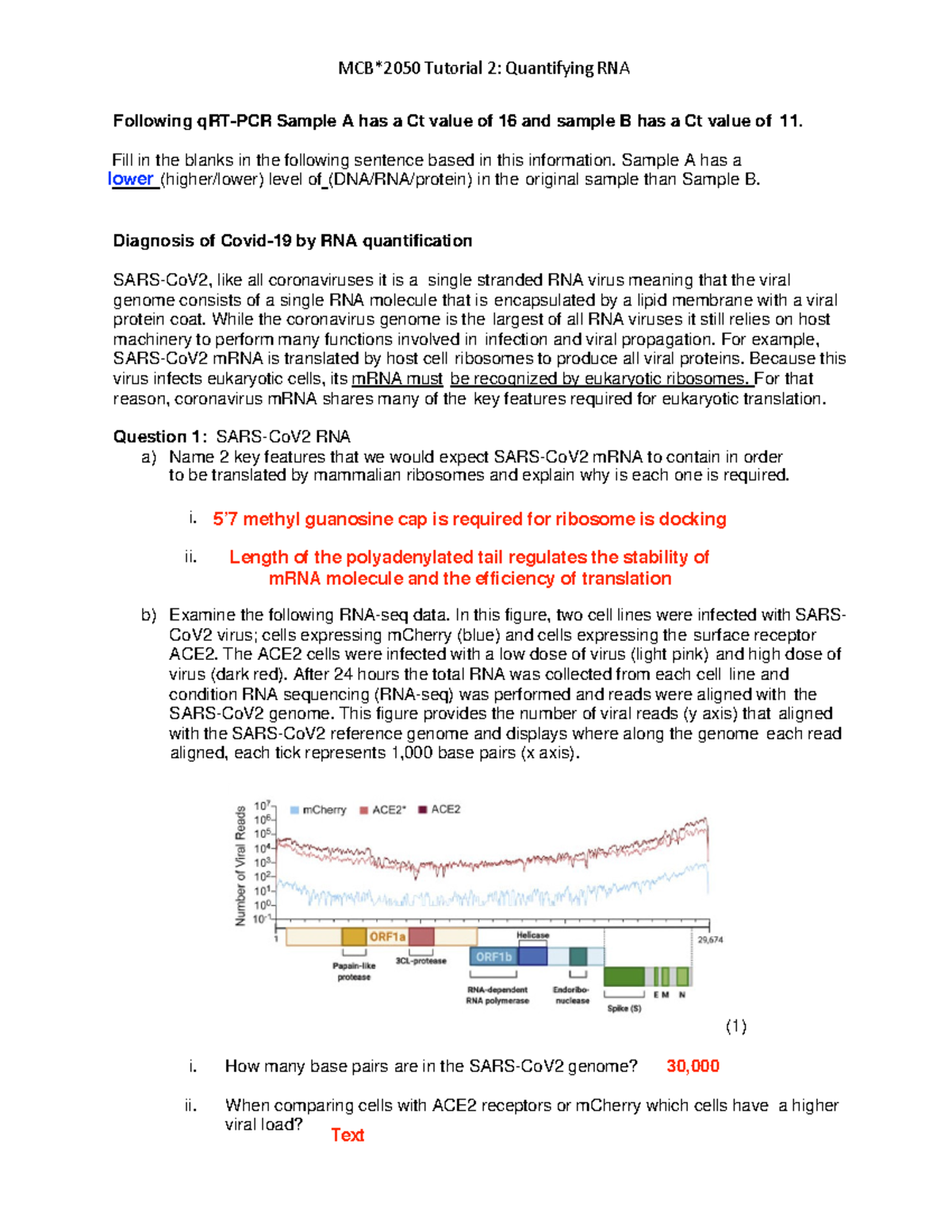 RNA processing Seminar 2 PDF - Following qRT-PCR Sample A has a Ct ...
