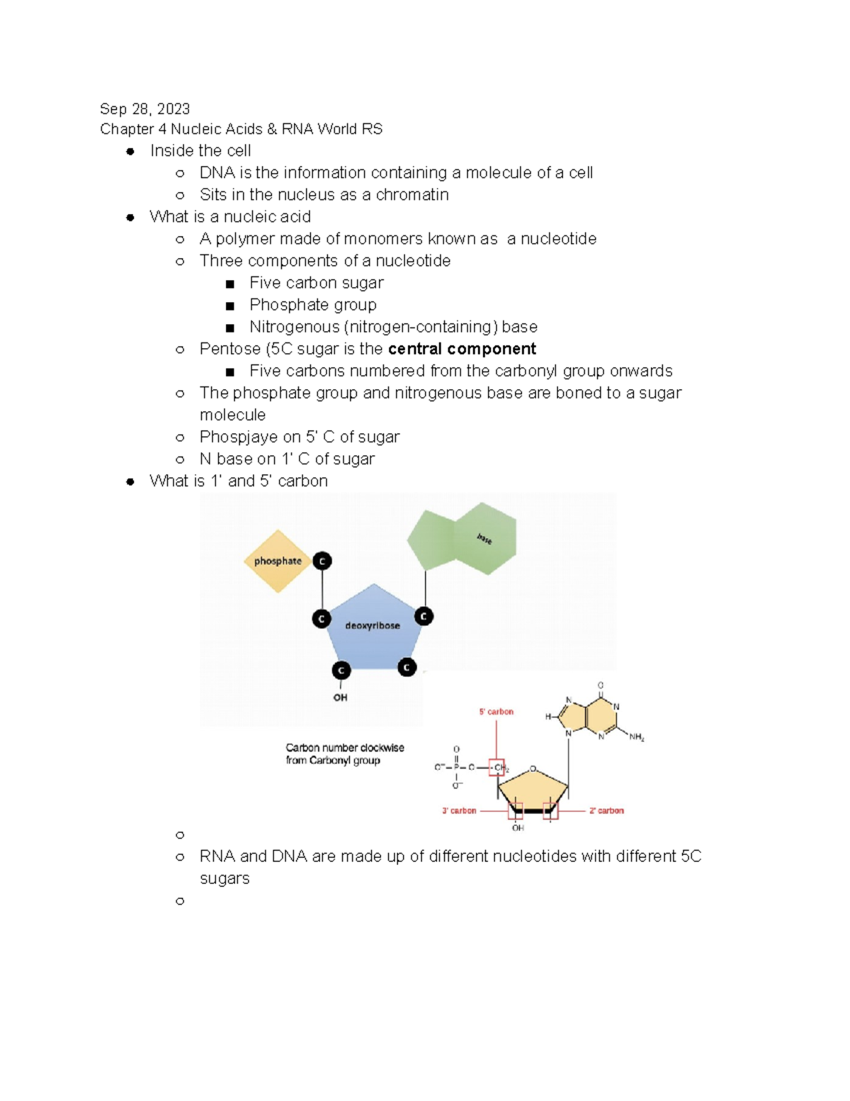 Chapter 4 Nucleic Acids RNA World RS - Sep 28, 2023 Chapter 4 Nucleic ...