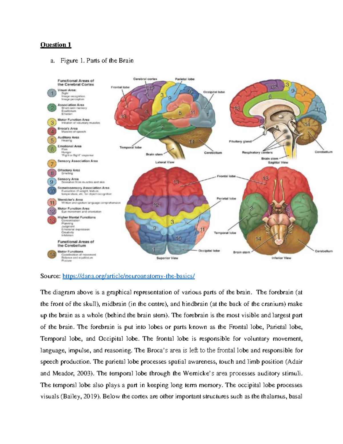 The human endocrine and nervous system - Question 1 a. Figure 1. Parts ...