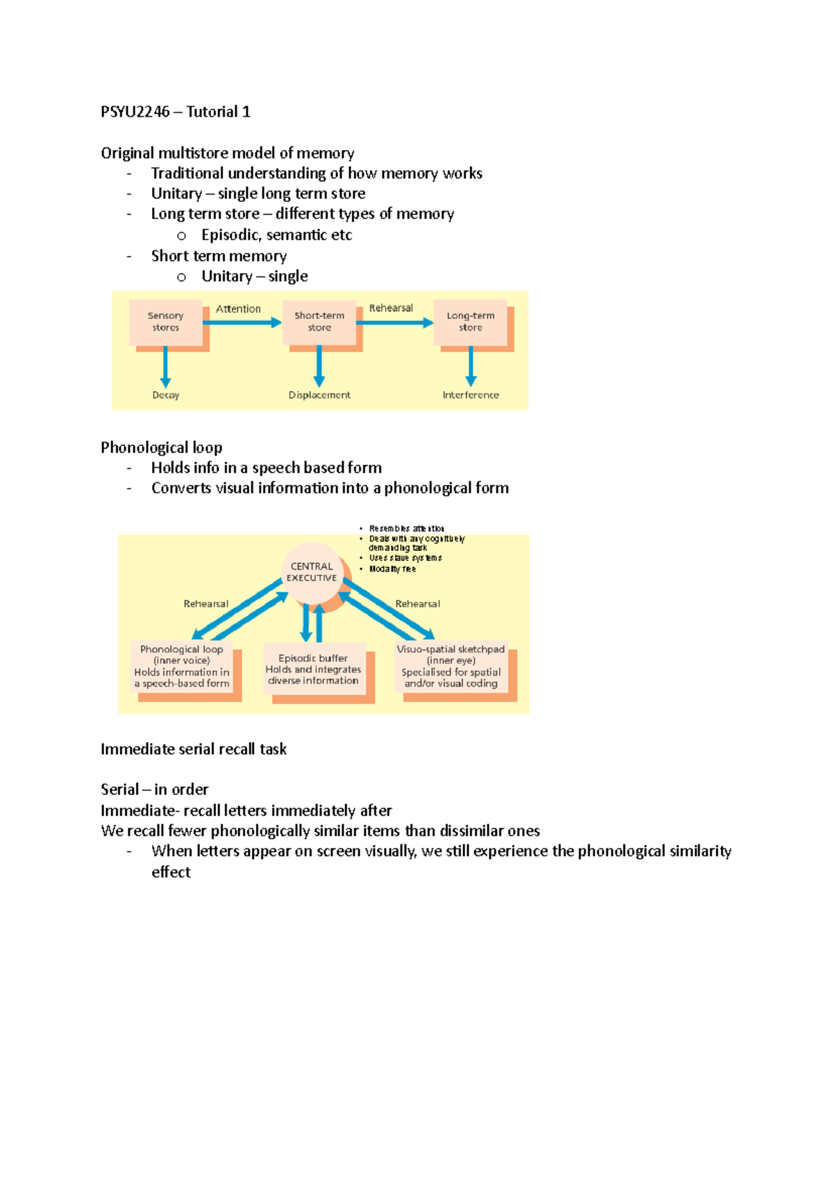 Tutorial 1 - PSYU2246 – Tutorial 1 Original multistore model of memory ...