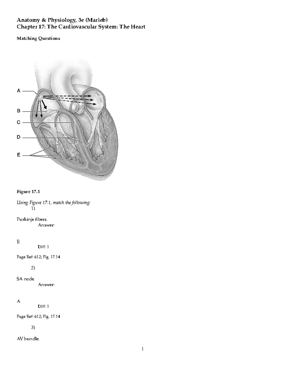 Heart Test Bank - Exam review- questions with answers. - Anatomy ...