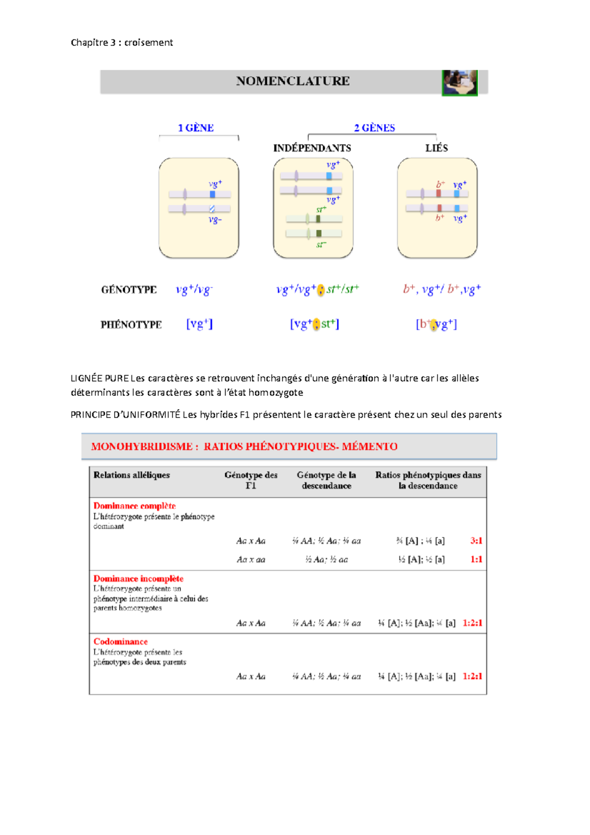 CM 12- CM13 chapitre 3 croisement - LIGNÉE PURE Les caractères se ...