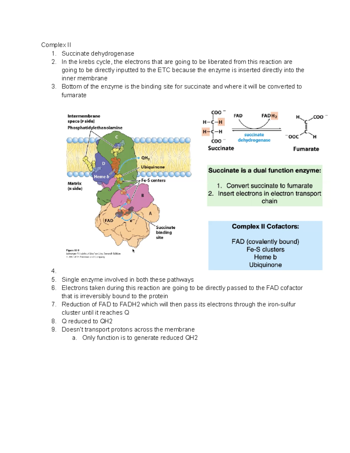 L28A - Lecture notes 28A - BIO 361 - SBU - Studocu