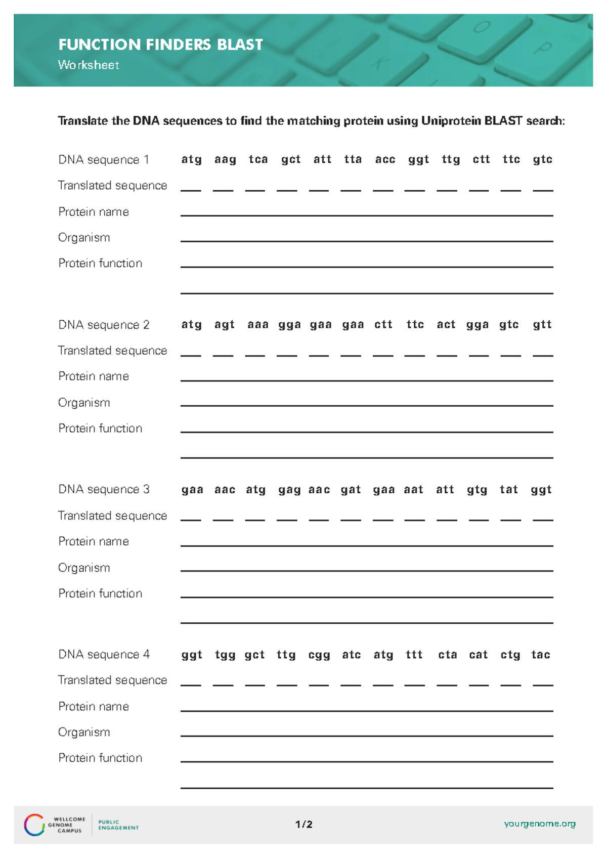 Actividad 6 Blast - FUNCTION FINDERS BLAST Worksheet 1 / 2 yourgenome ...