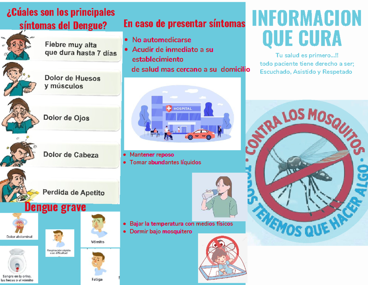 Triptico del dengue - apuntes - INFORMACION QUE CURA Tu salud es ...