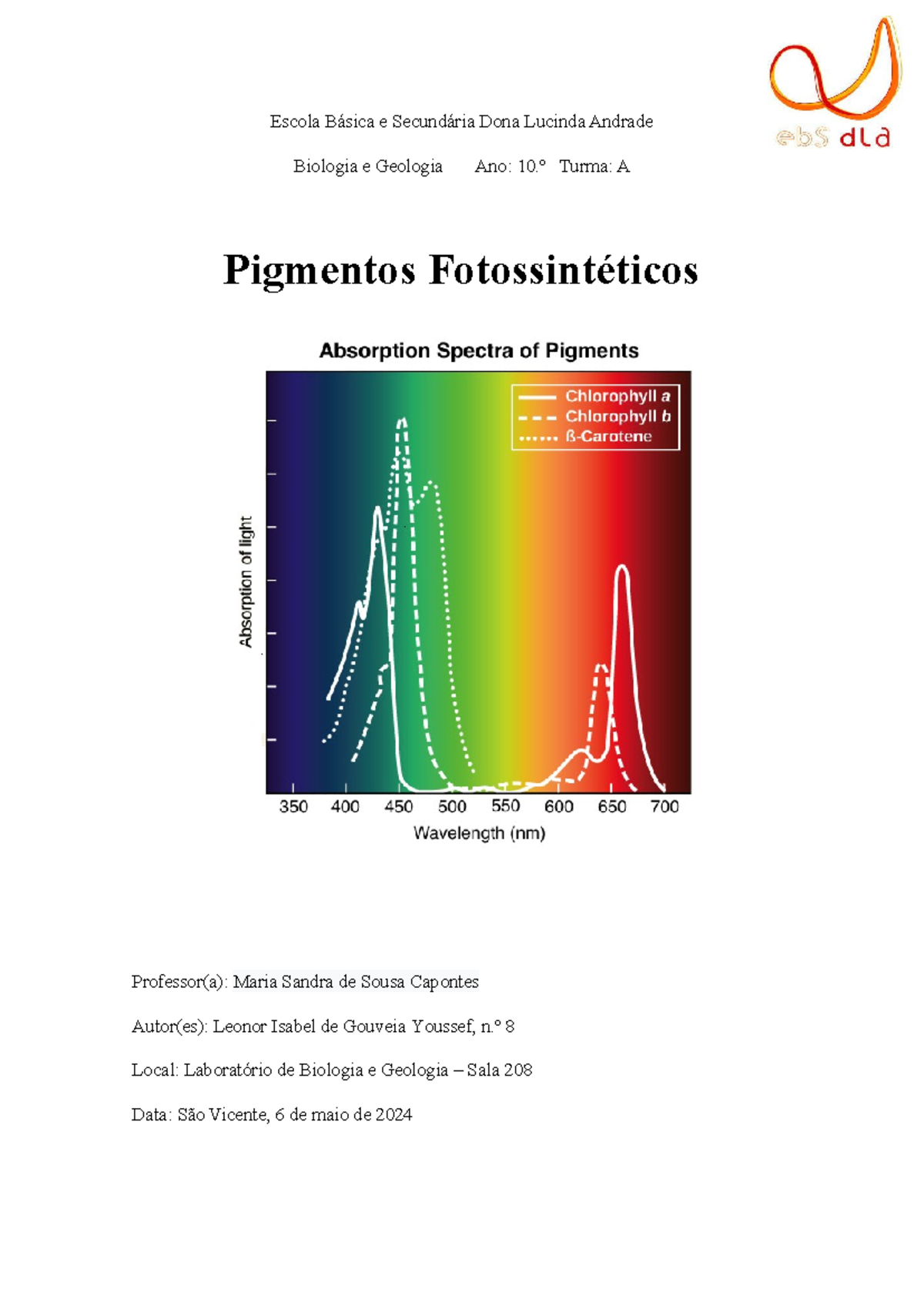 Pigmentos Fotossintéticos - 10.º A - Bio e Geo - Leonor Youssef 2 ...