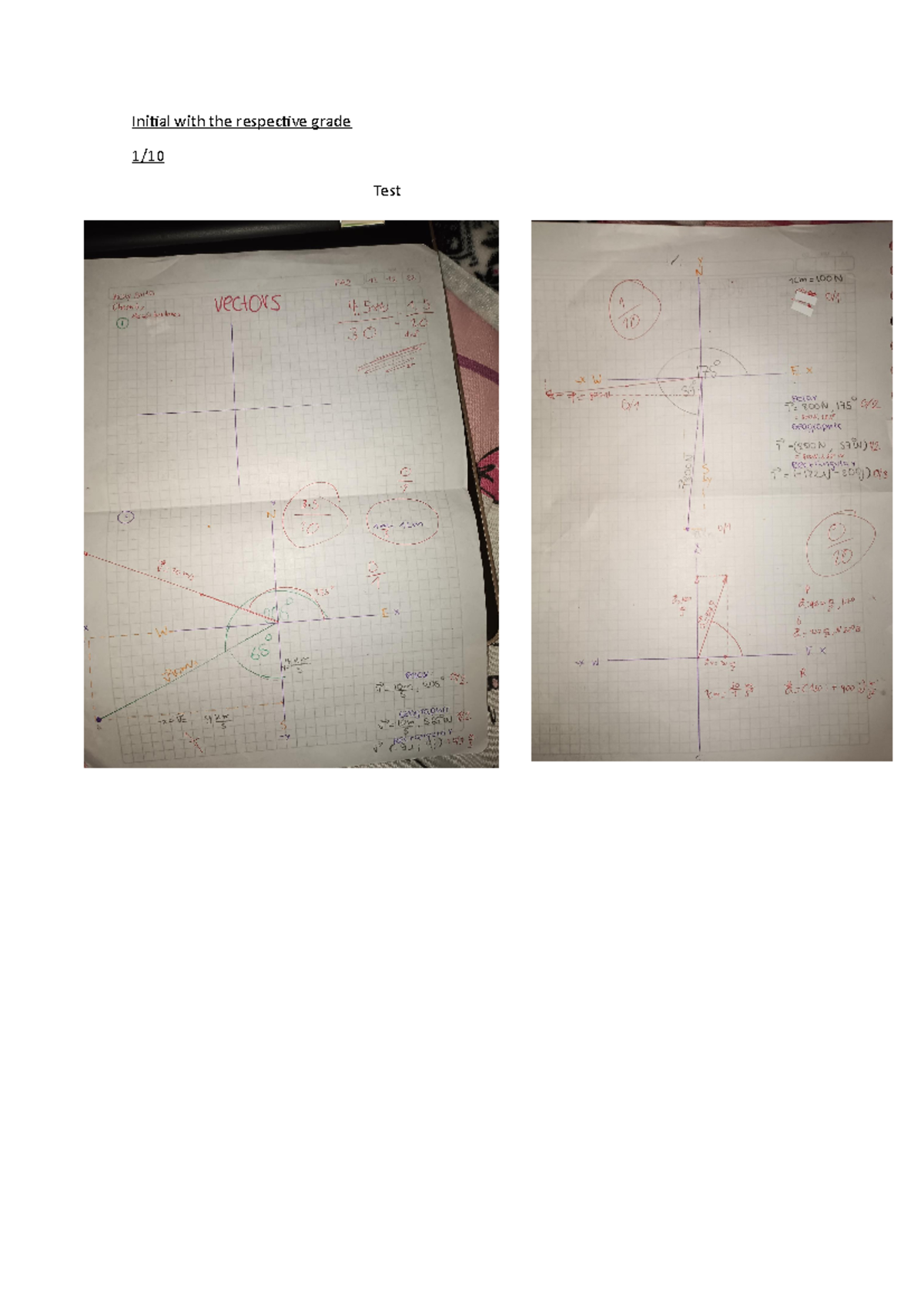 Redo - How to do a redo - Initial with the respective grade 1/ Test ...