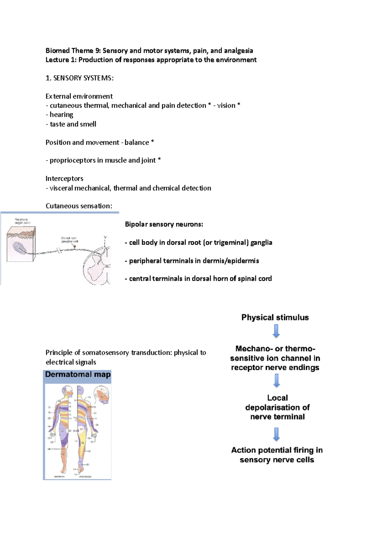 Biomed Theme 9 - bio - Biomed Theme 9: Sensory and motor systems, pain ...