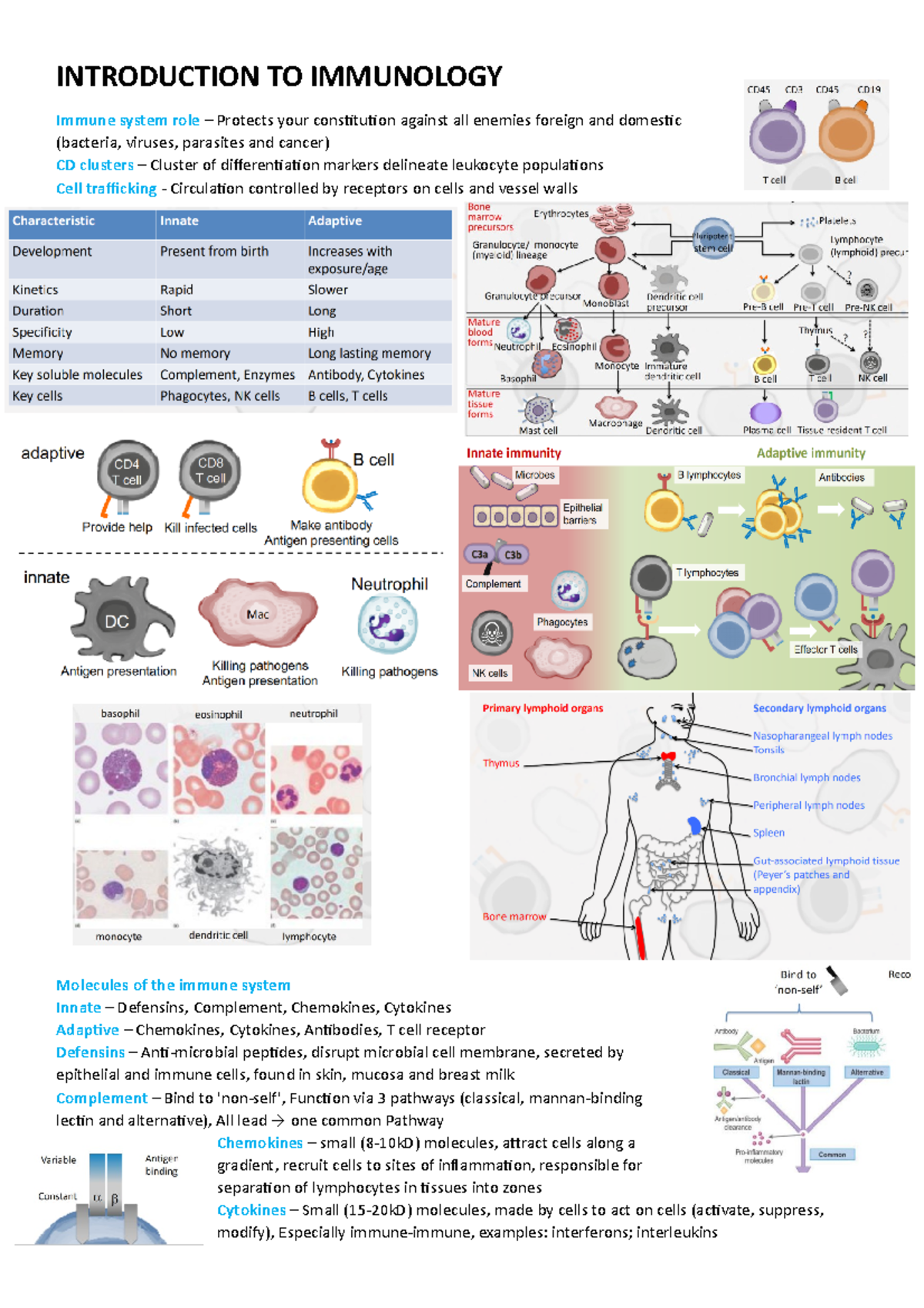 Immunology - INTRODUCTION TO IMMUNOLOGY Immune system role – Protects ...