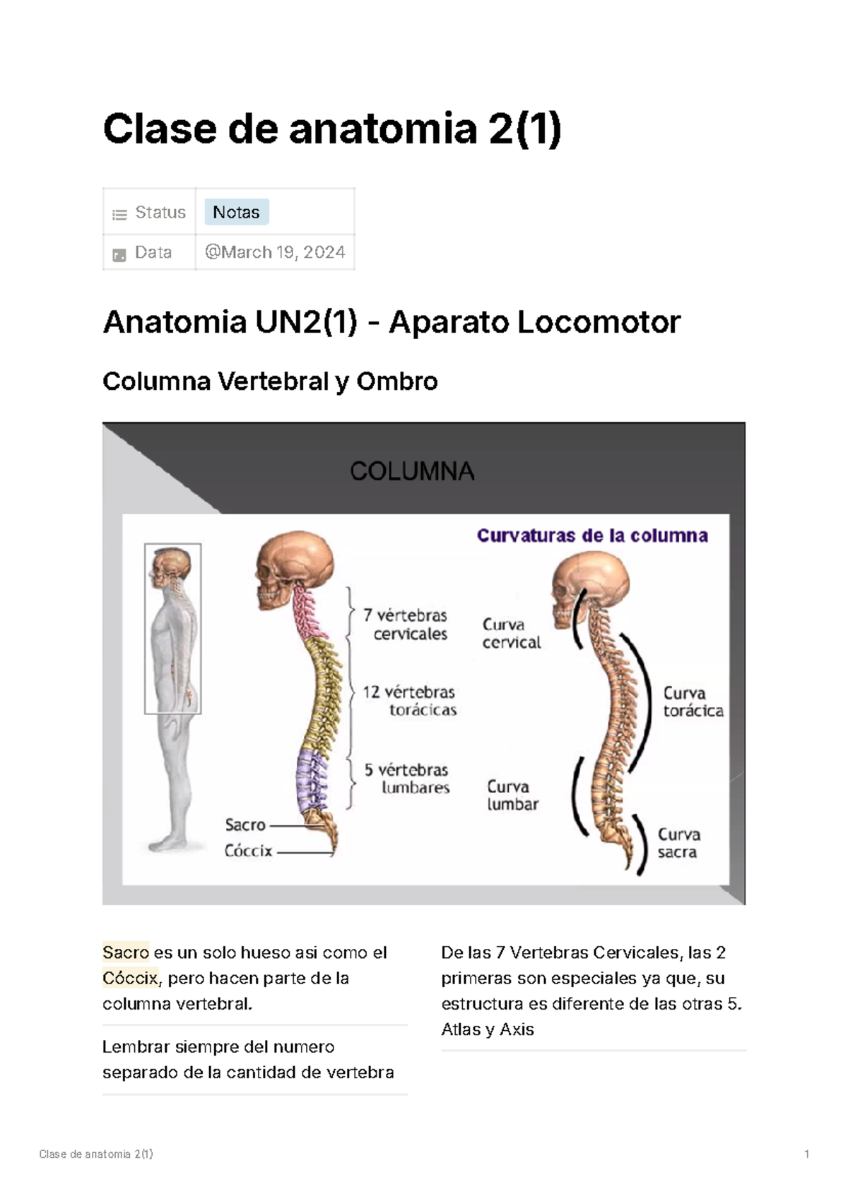 Clase de Columna Vertebral - Clase de anatomia 2(1) Status Notas Data ...