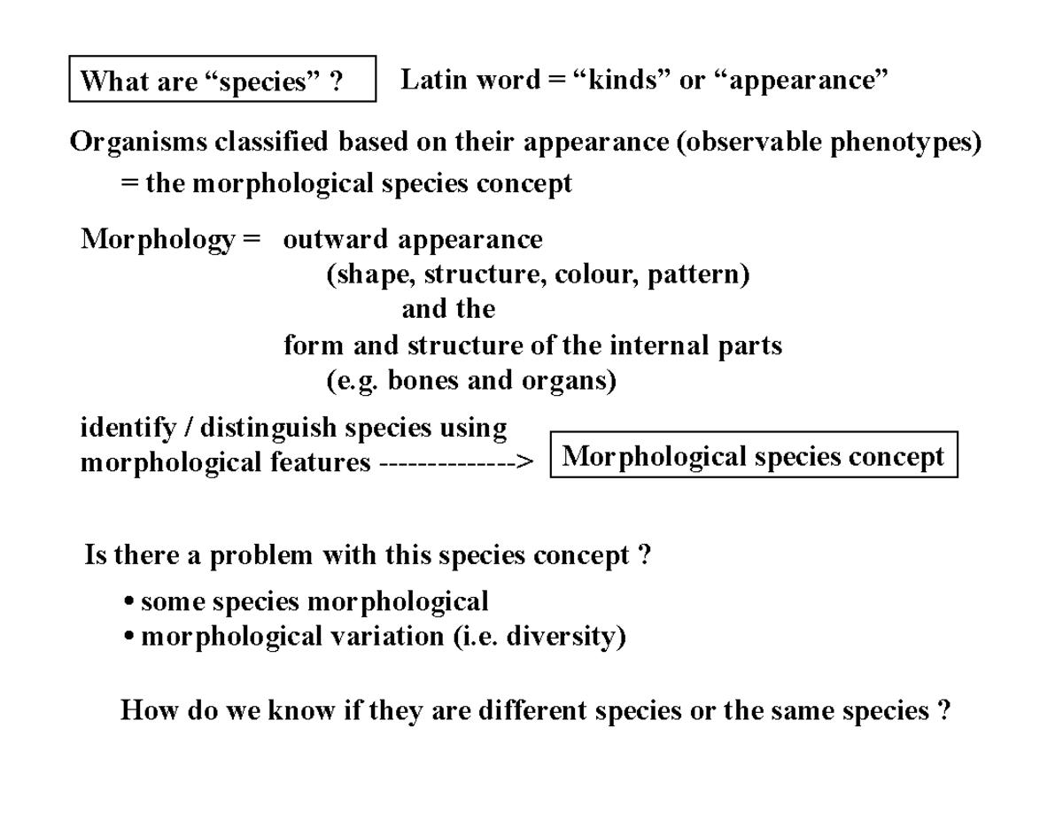 Lecture Quiz 2 Notes Combined - Morphology = outward appearance (shape ...