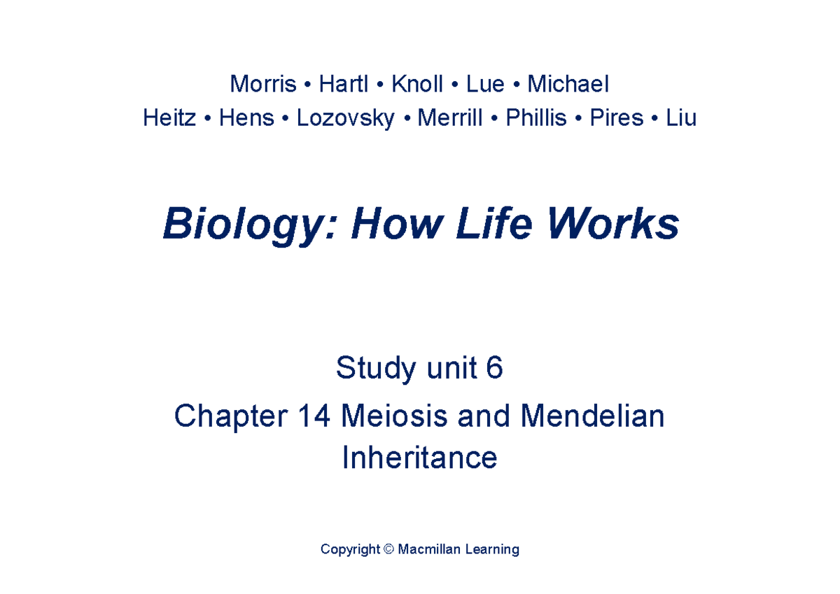 SU 6 Meiosis and Mendelian Genetics - Biology: How Life Works Study ...