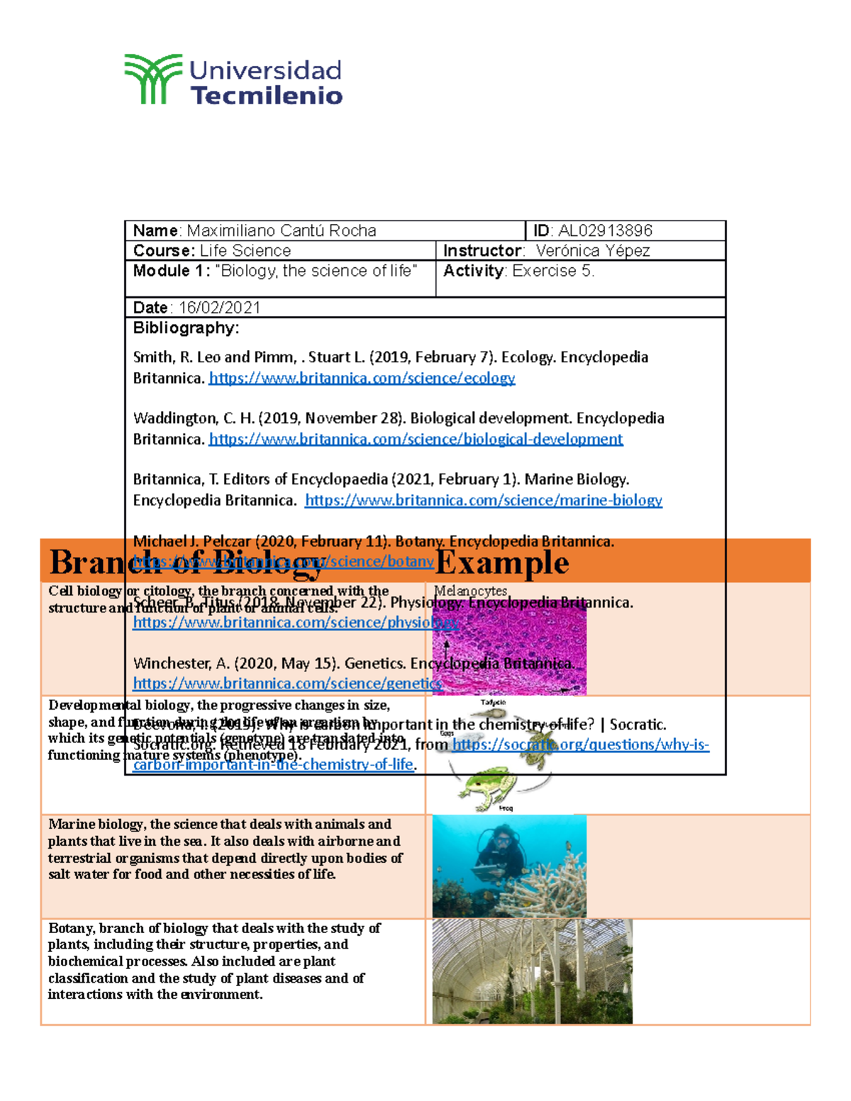 Act. 5 - Life Science - Activity about the branches of biology and ...