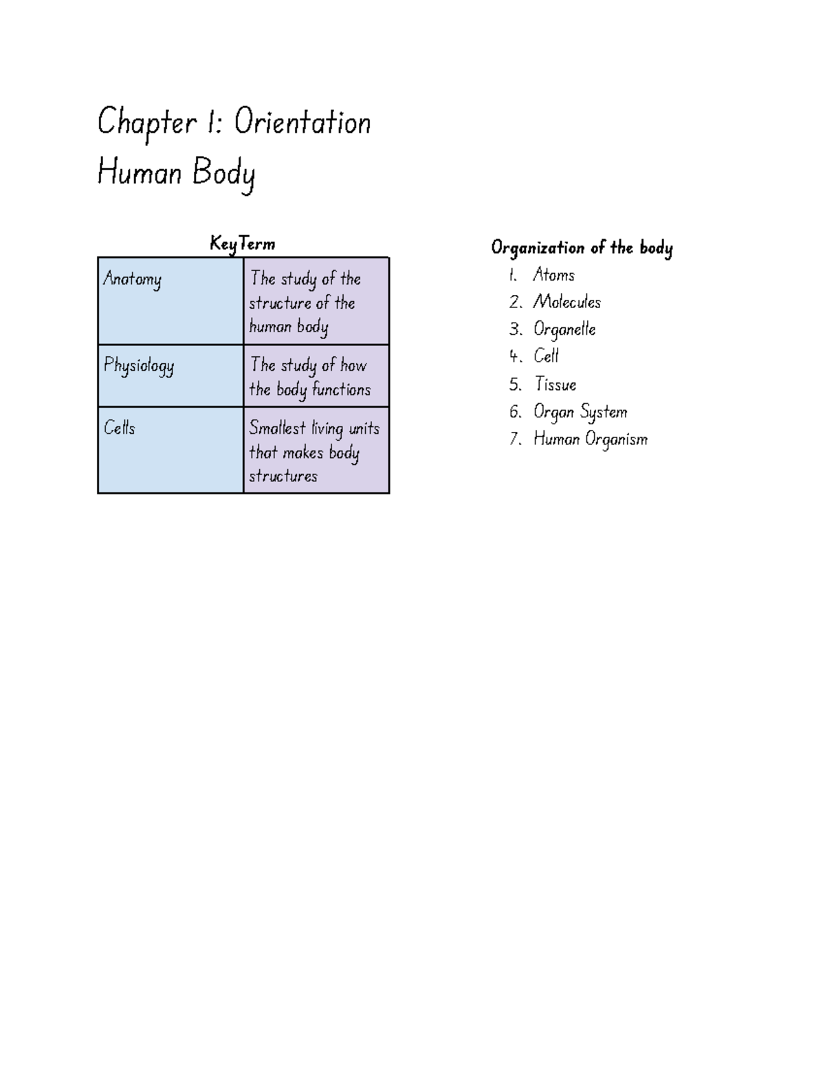 Chapter 1 Organization of Human Body - Chapter 1: Orientation Human ...