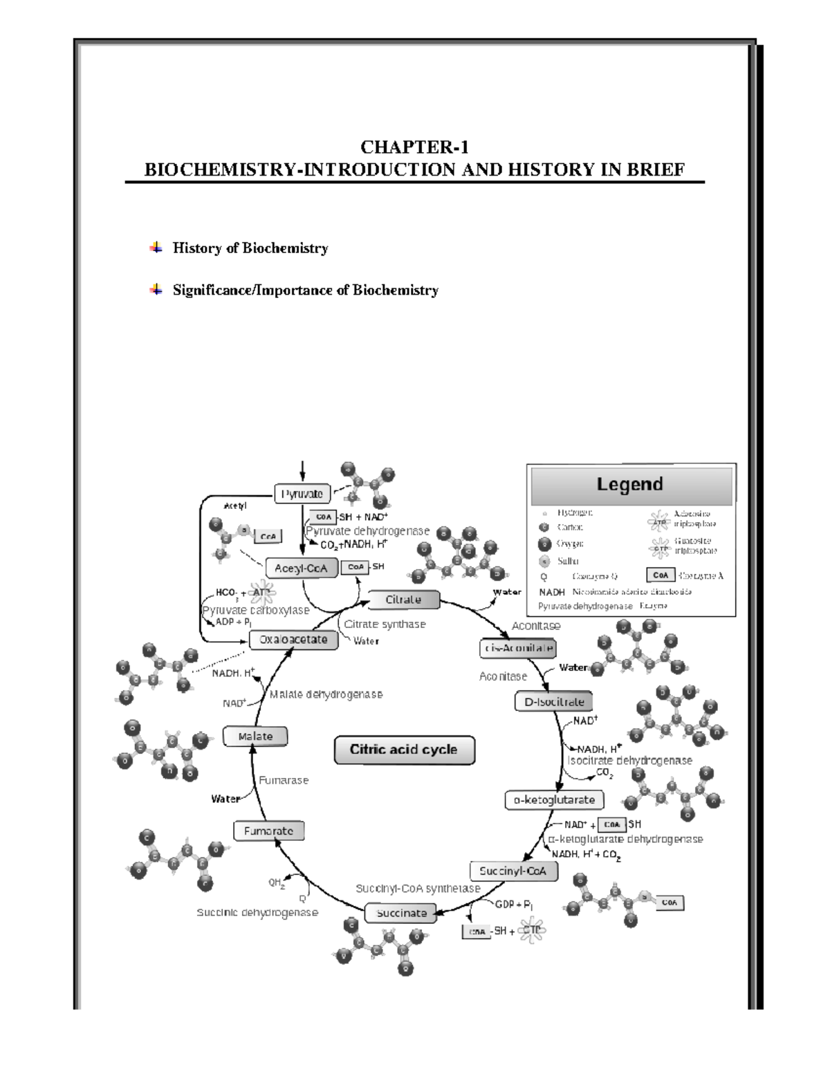 1619759828 Biochem - Good notes. Easy to study. Clear to learnin ...