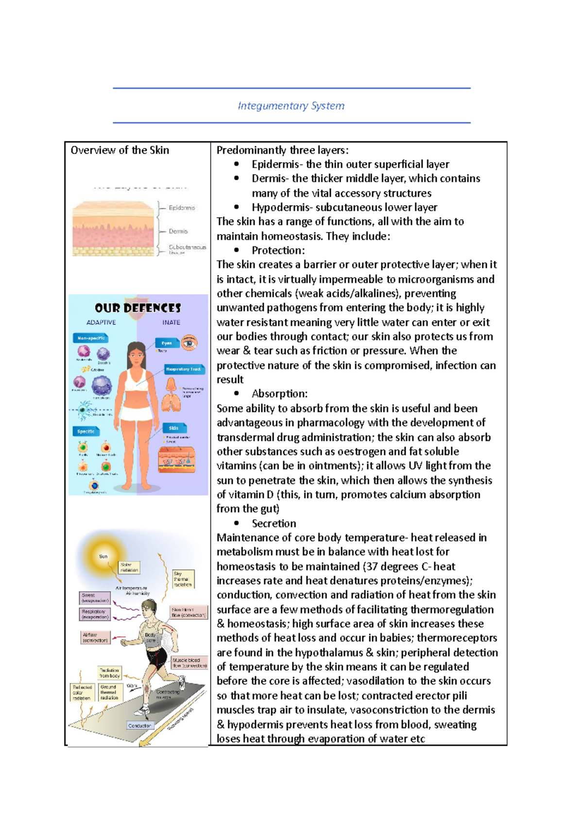 Integumentary System - Integumentary System Overview of the Skin ...