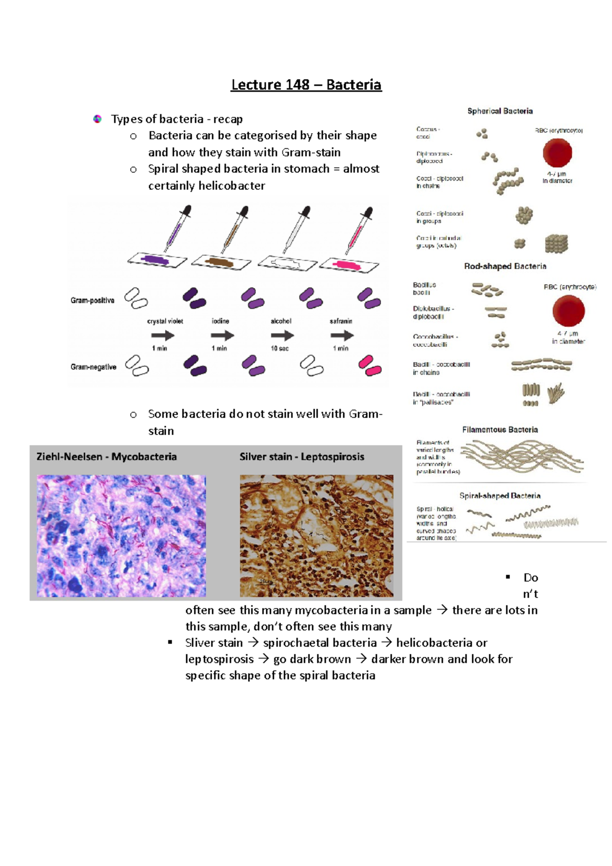 Lecture 148 – Bacteria - Lecture 148 – Bacteria Types of bacteria - recap o Bacteria can be ...
