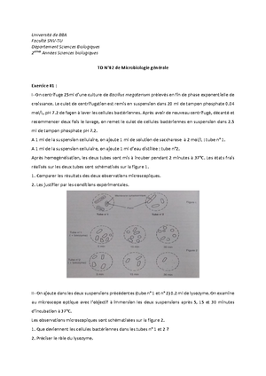 TP 02 Coloration de GRAM Microbiologie générale Sardati N - Travaux pratiques de microbiologie ...