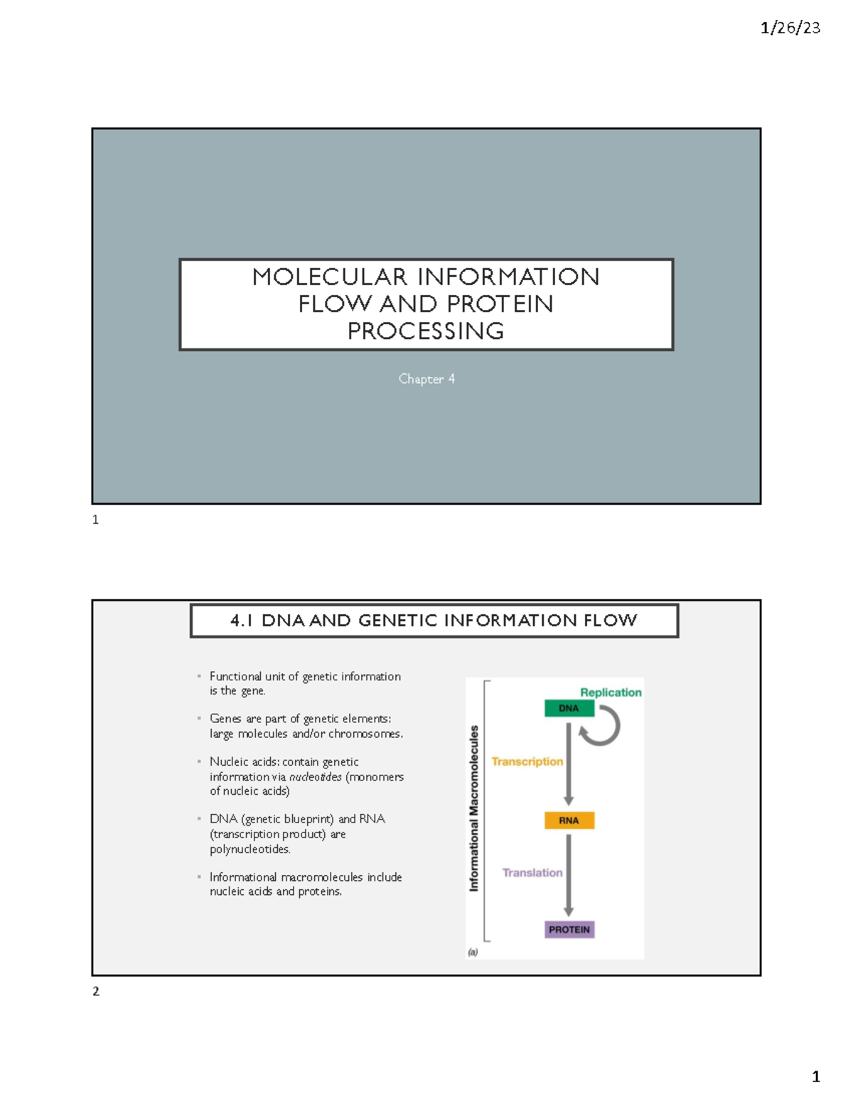 SP23 Module 3 - MOLECULAR INFORMATION FLOW AND PROTEIN PROCESSING ...