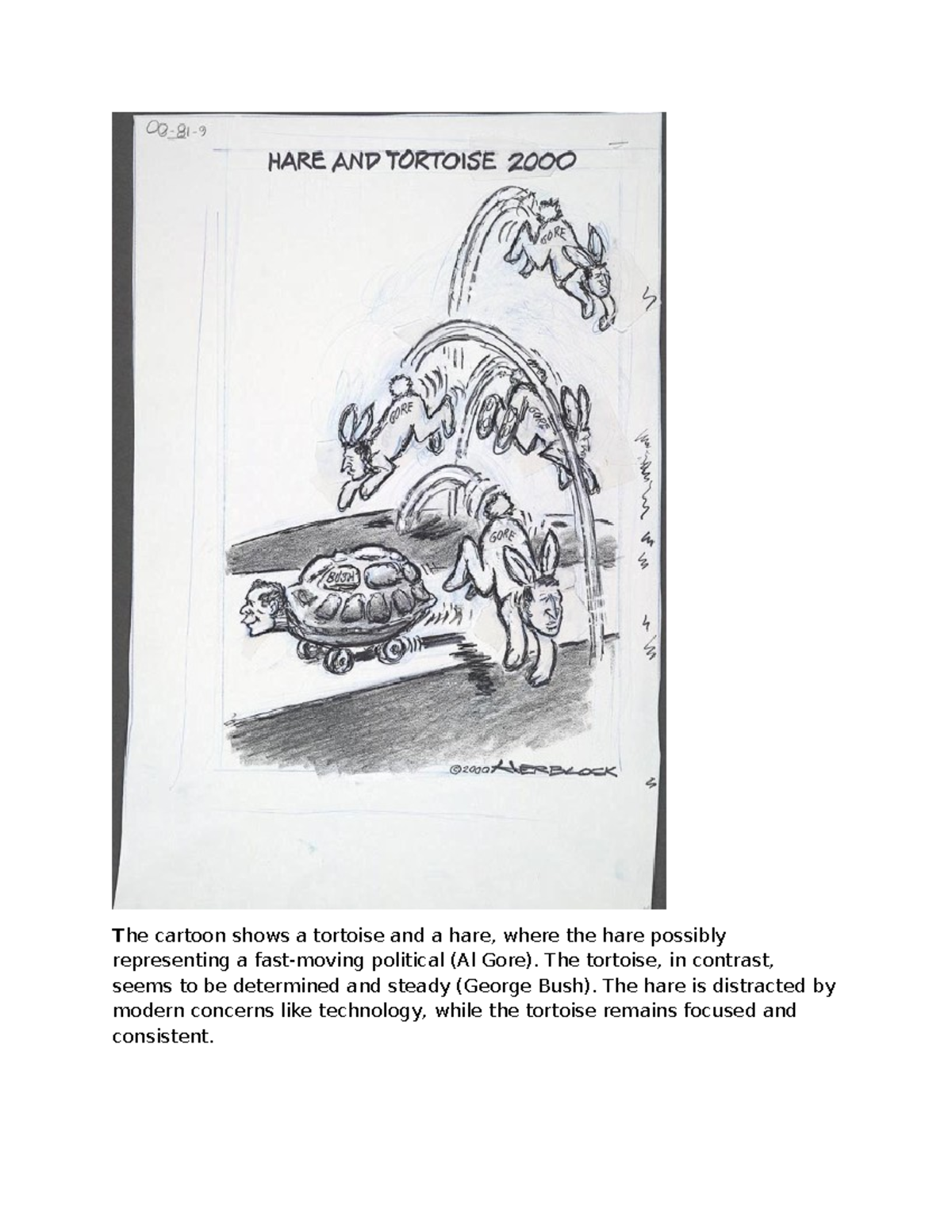 Rhetorical Situation - Political Cartoon - The cartoon shows a tortoise ...