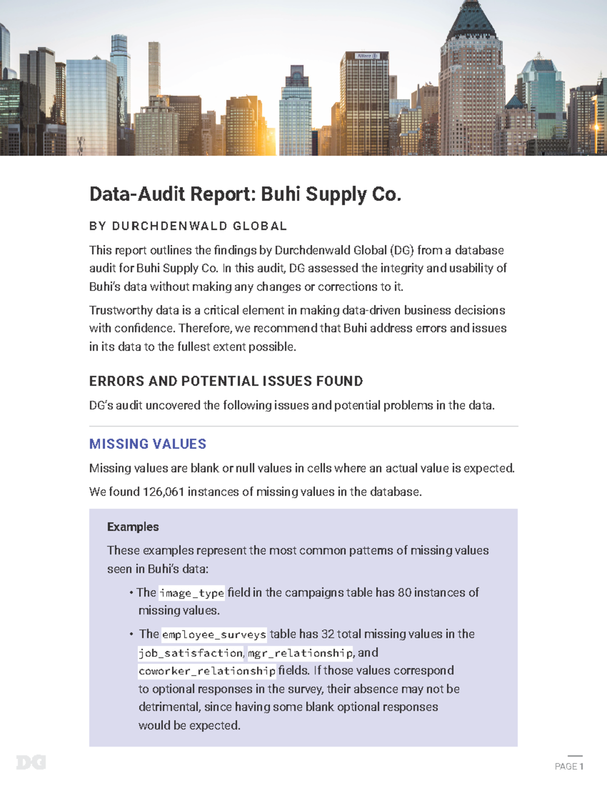 Data audit Report Buhi Supply Co - B Y D U R C H D E N W A L D G L O B ...