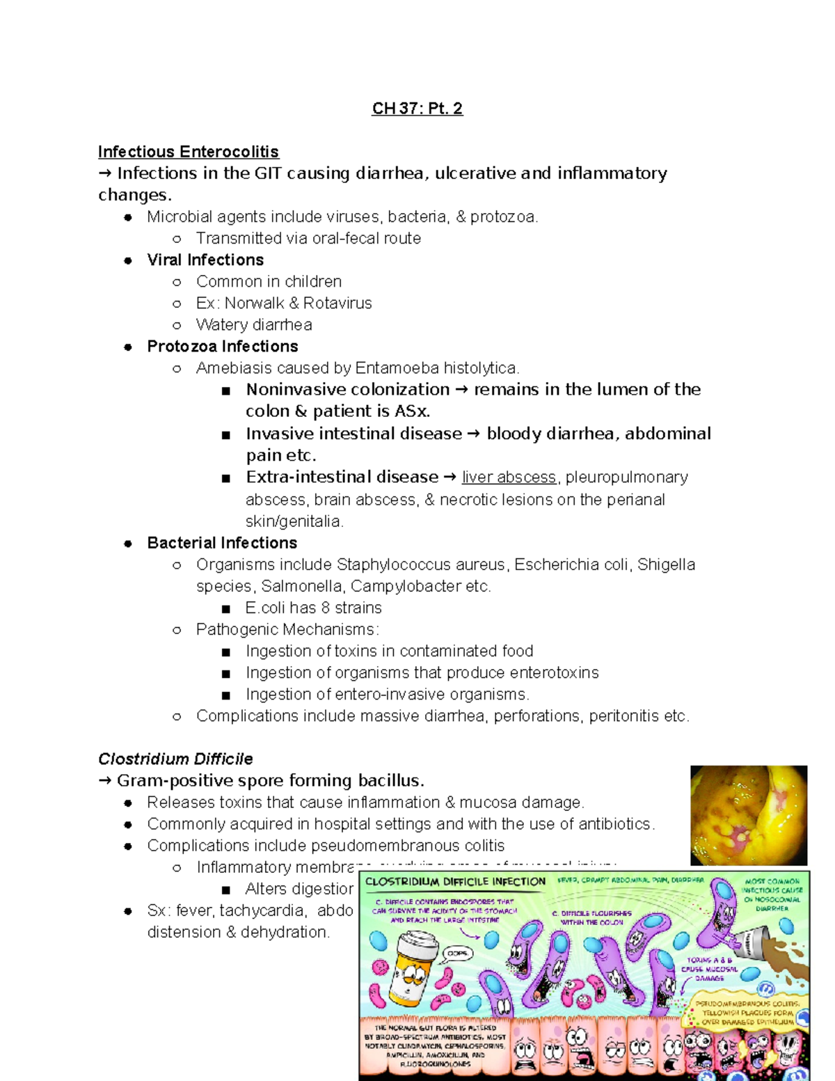 CH 37 Pt 2 - Chapter 37 Lecture notes; Part 2 - CH 37: Pt. 2 Infectious ...