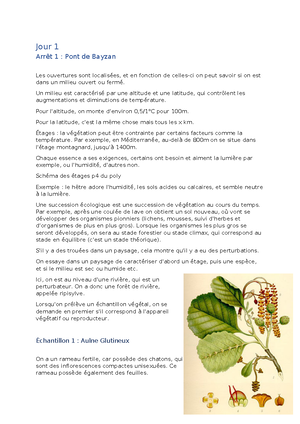 Les adaptations des plantes (partie 2) - III – Adaptations aux ...
