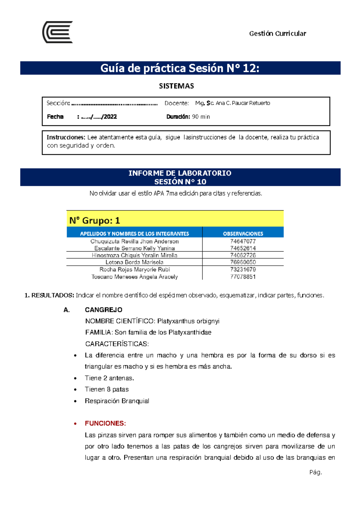 GL- Sesión 12- Sistemas -BIO-UC - c. Ana C. Paucar Retuerto ...