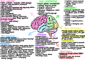 Mo CA-Instructions-Polish - Montrealska skala oceny funkcji poznawczych ...