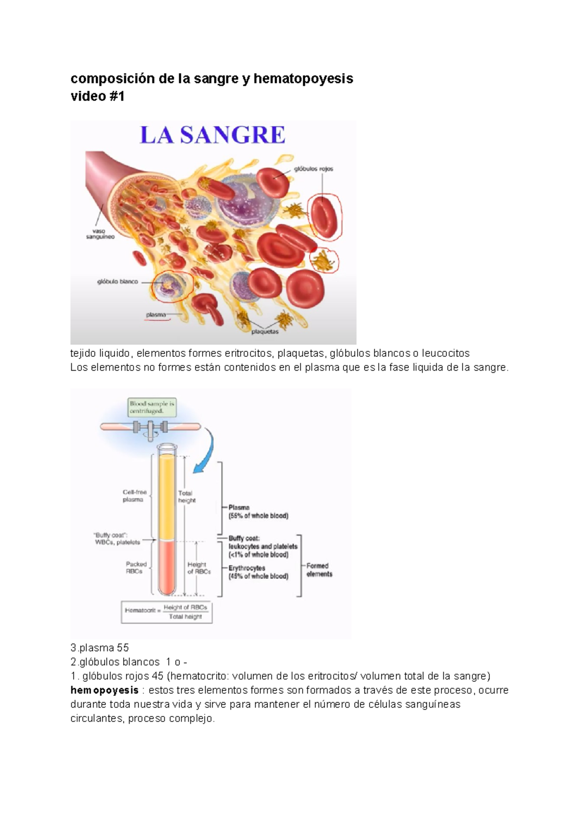 Composición de la sangre y hematopoyesis - composición de la sangre y ...