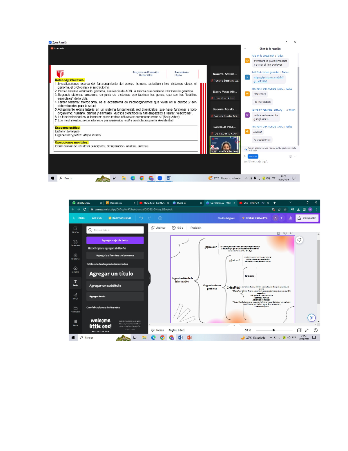 P logico - pedo - Zoom Reunión X Grabando Chat de la reunión Ruiz de la ...