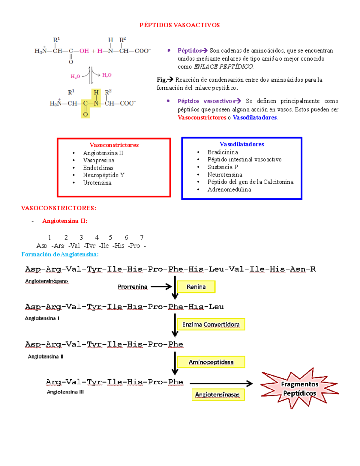 Péptidos Vasoactivos - PÉPTIDOS VASOACTIVOS Péptidos Son cadenas de ...