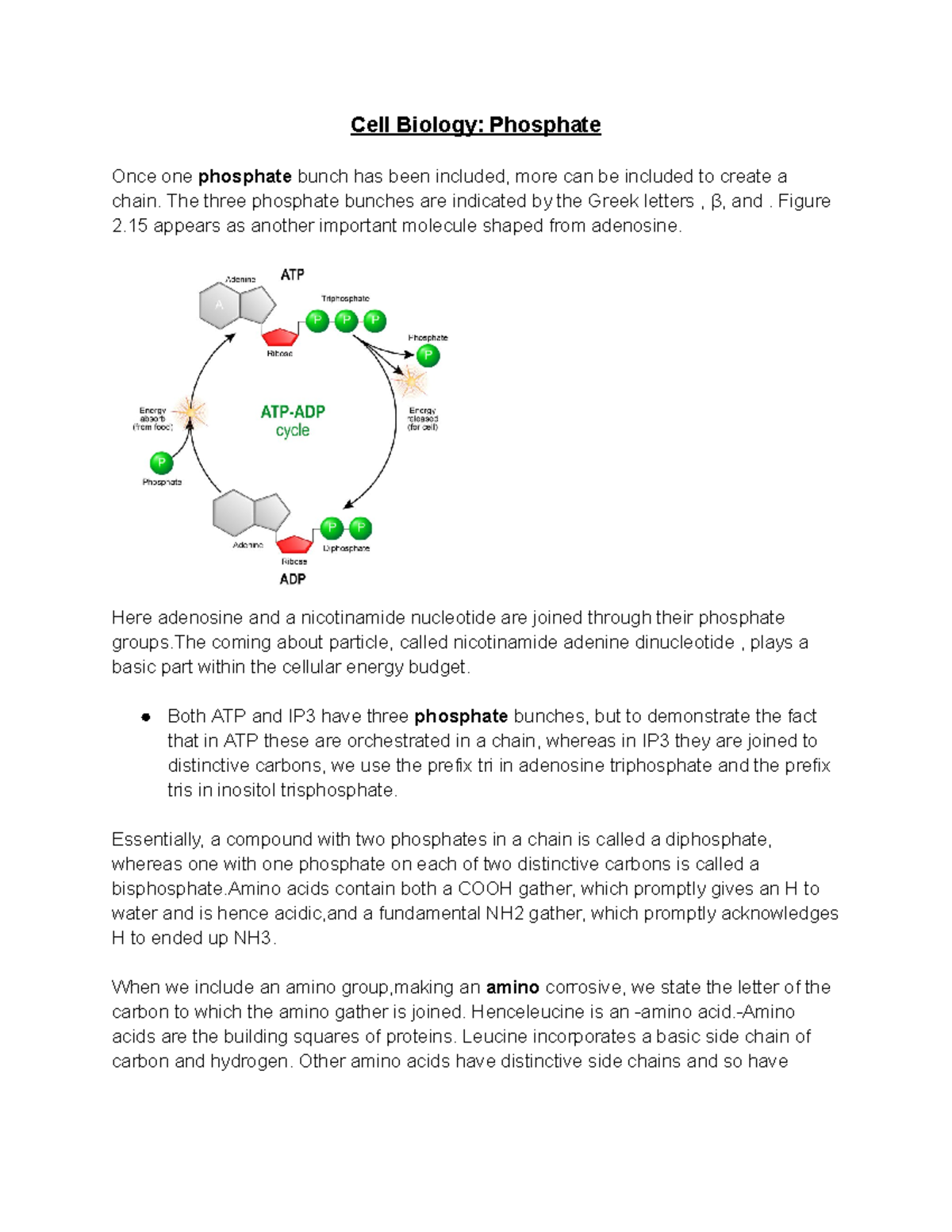 Cell Biology Phosphate - Cell Biology: Phosphate Once one phosphate ...