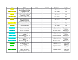 Mmt8 grading and testing procedures for the abbreviated 8 muscle groups ...