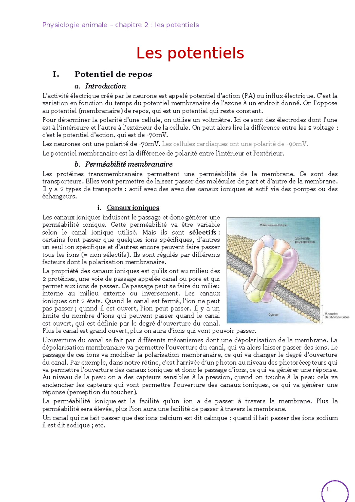 2-Potentiels - physio A - Les potentiels I. Potentiel de repos a ...