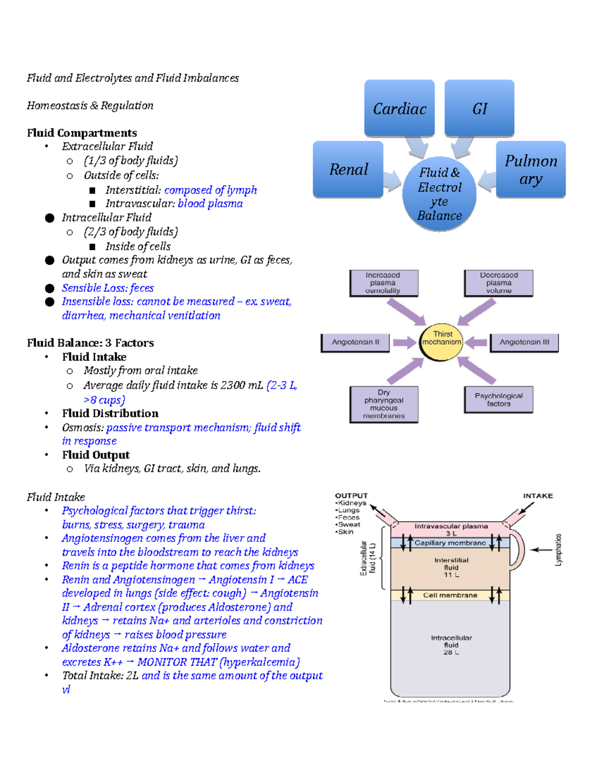 Electrolyte Balance - Fluid & Electrol yte Balance Renal Cardiac GI ...
