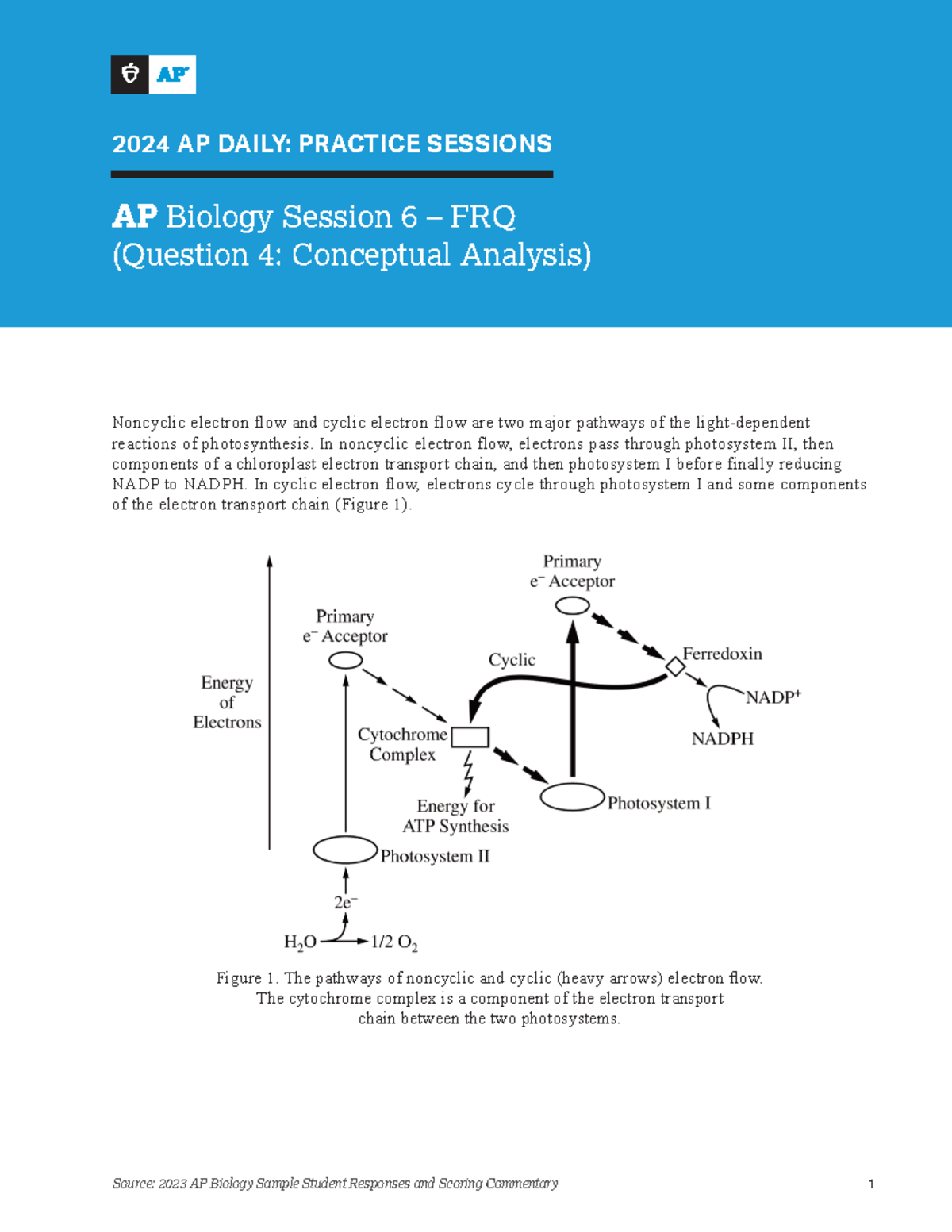 AP Biology Session 6 Worksheet - Source: 2023 AP Biology Sample Student ...