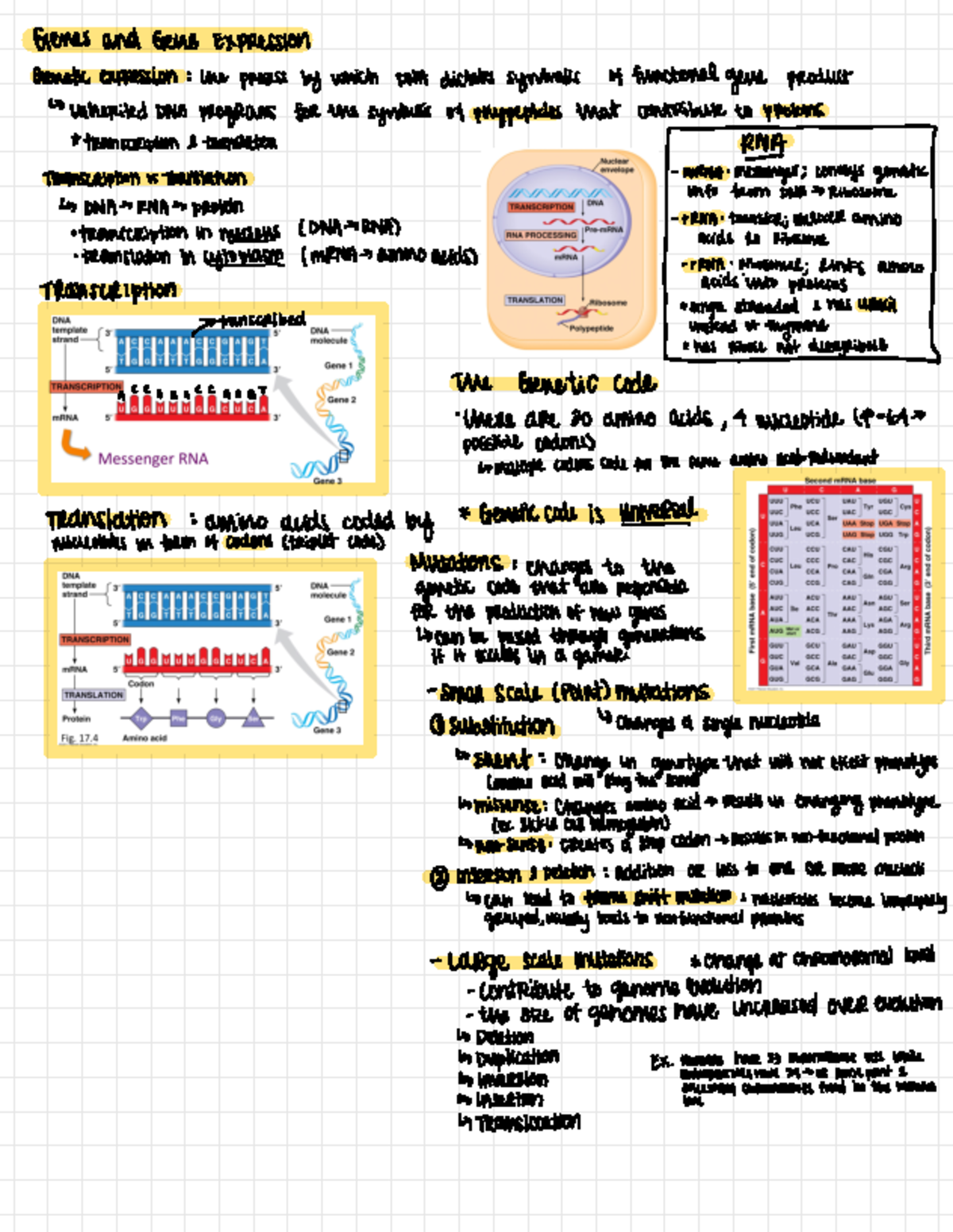 Biol 204 lecture notes - Genes and Gene Expression Genetic expression ...