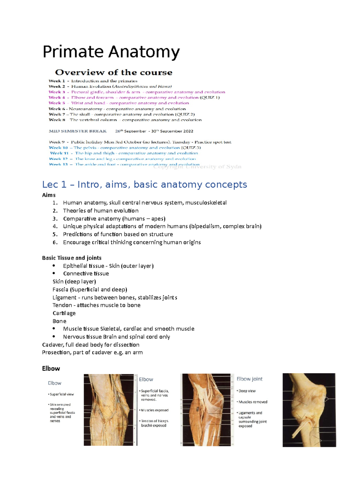 Primate Anatomy - notes up till week 6, some lectures missing - Primate ...
