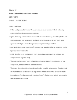 Concept Map - example 2 - Identify and develop priority nursing ...