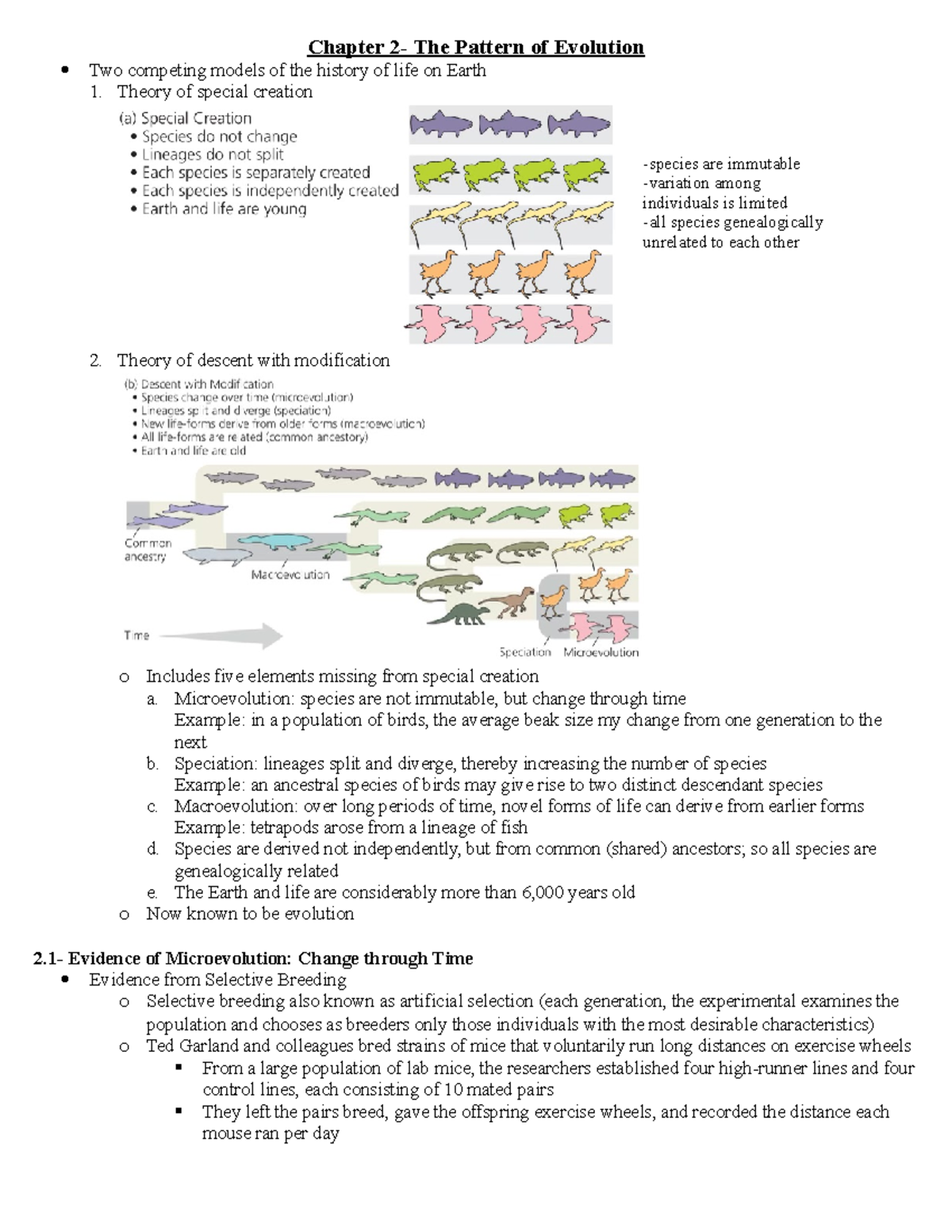 Chapter 2 Evolution - I took this class with Weilong Hao in Fall 2022 ...