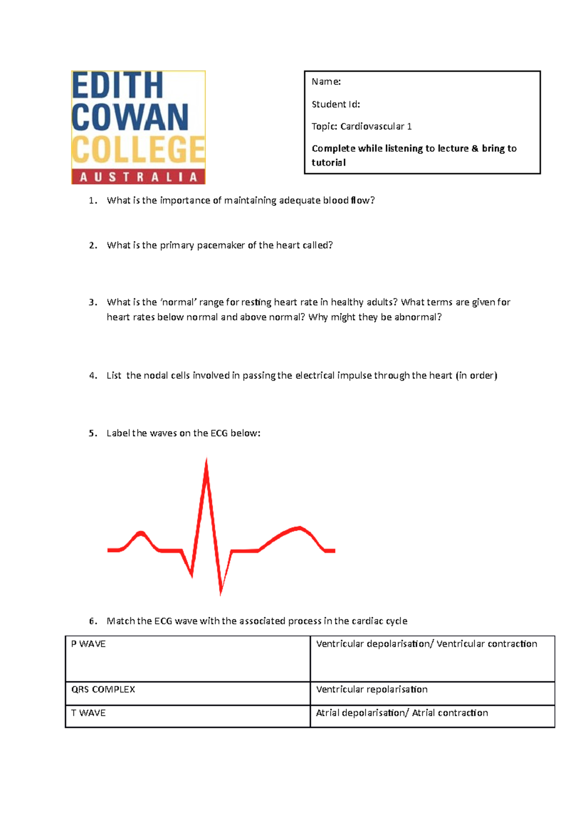 Worksheet cardiovascular 1-1 - What is the importance of maintaining ...