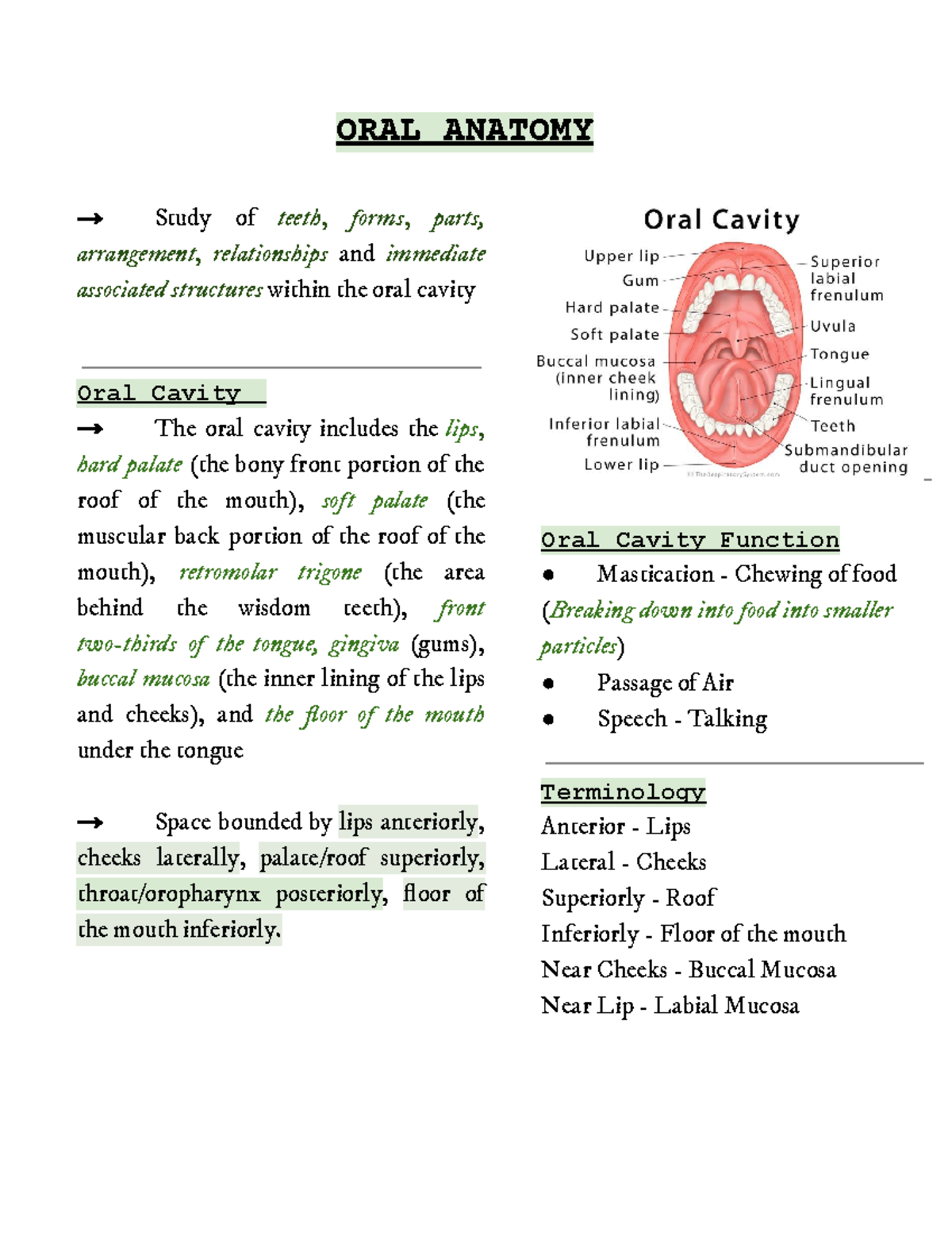 ORAL Anatomy - notes - ORAL ANATOMY → Study of teeth , forms , parts ...